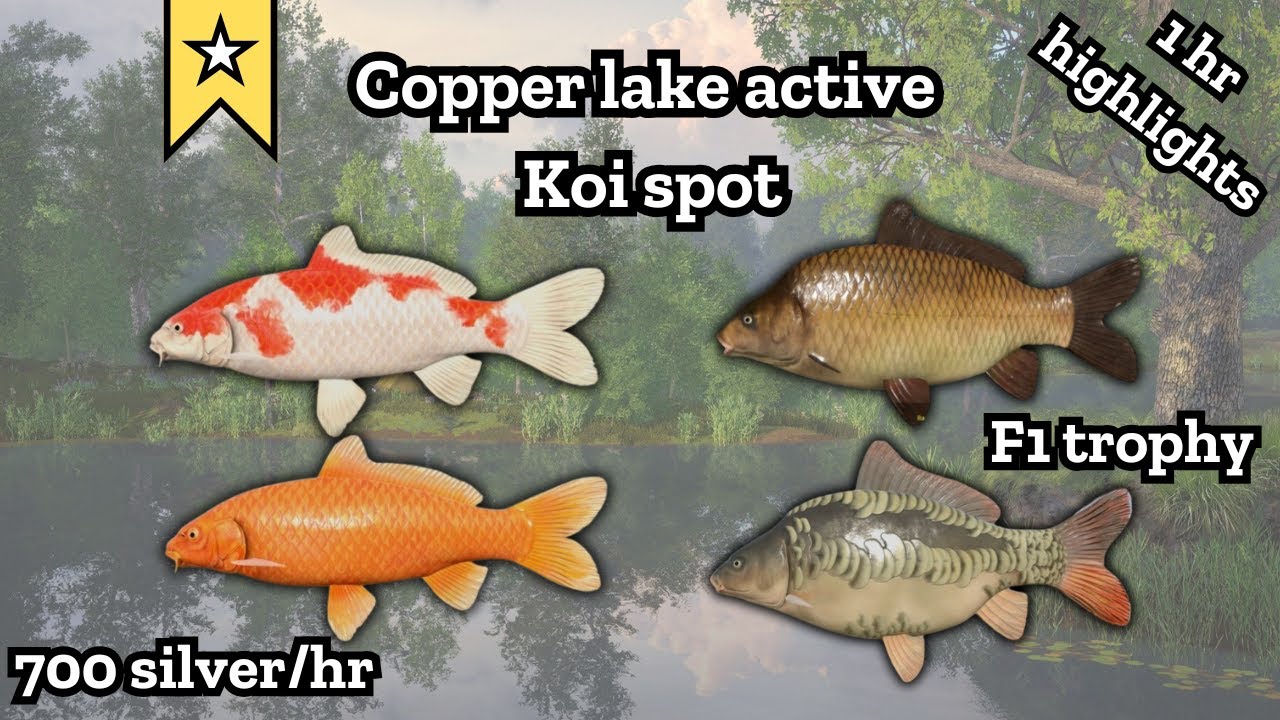 Very active koi spot at copper lake | Russian fishing 4 | Nanstein | # ...