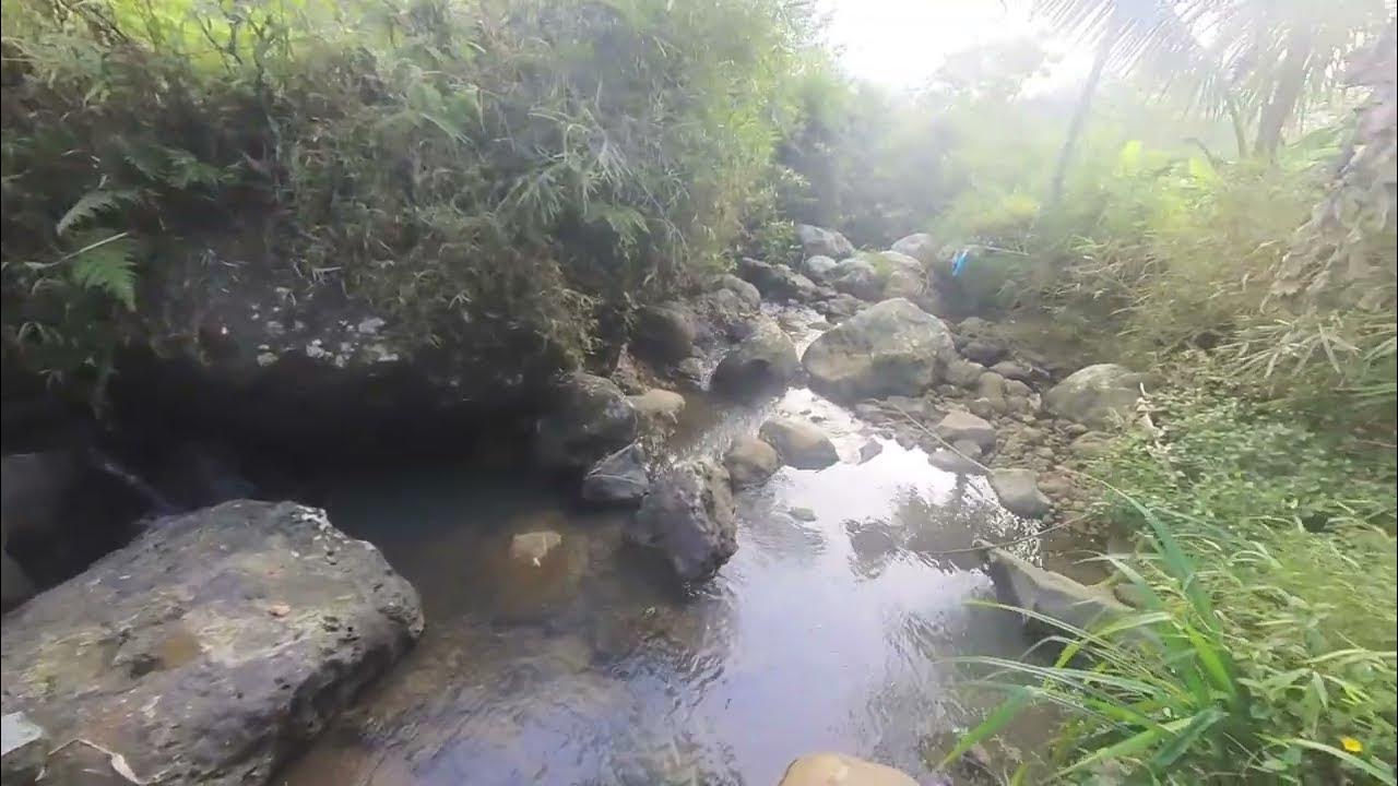 jalan jalan di area persawahan - YouTube