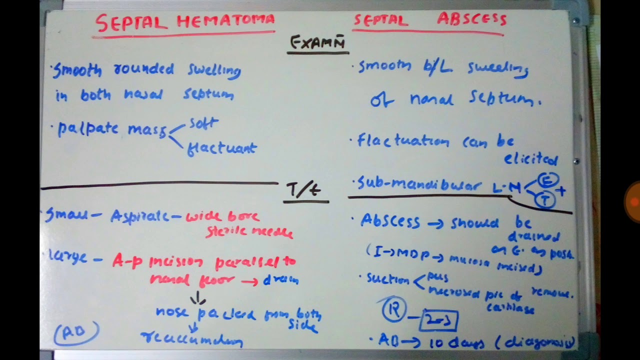 Part -2 Examination and T/t Septal hematoma and septal abscess - YouTube