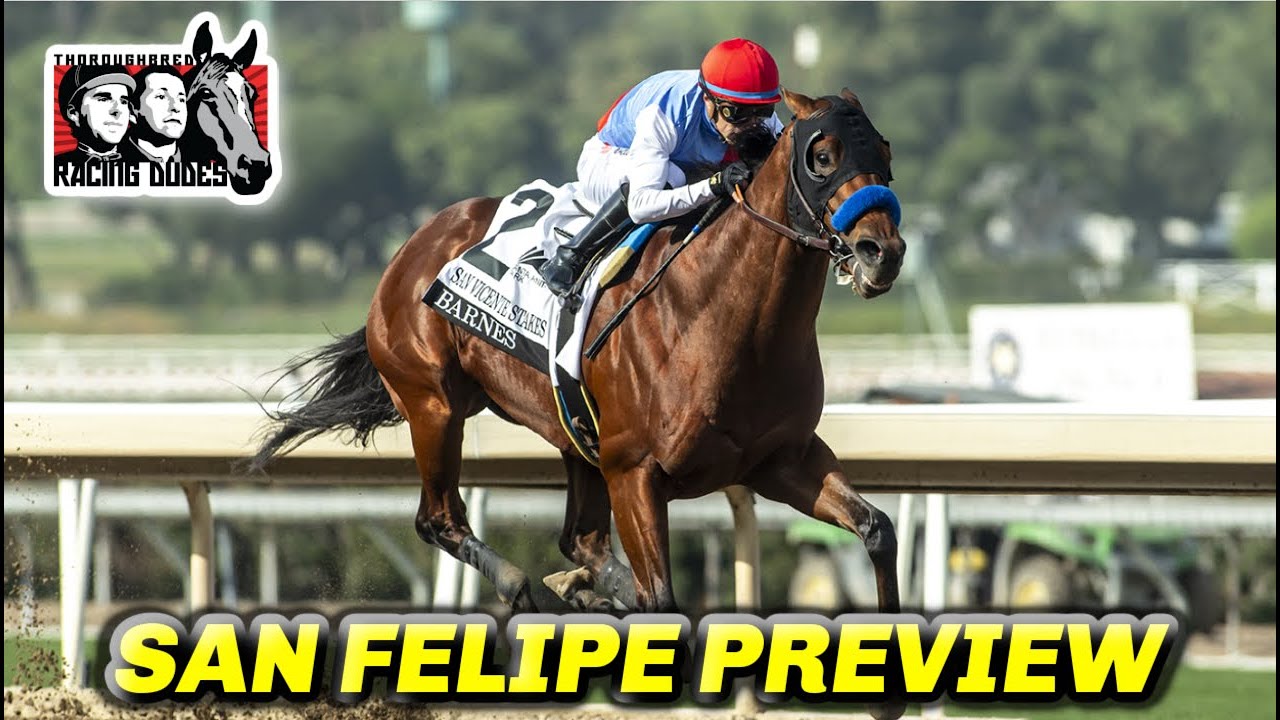 San Felipe Stakes Picks and Preview 2025 | Kentucky Derby Prep Race ...