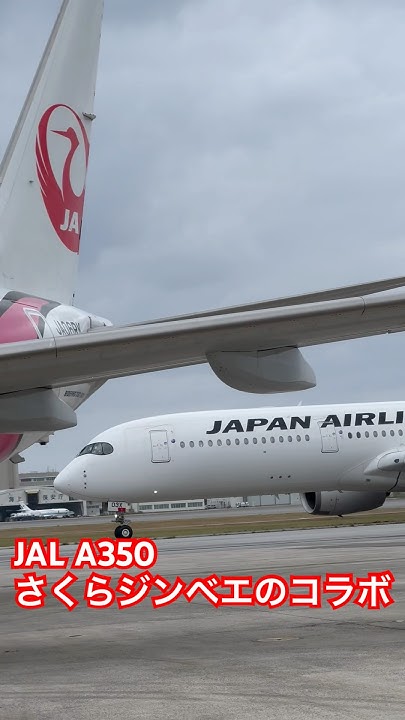 【真横で】JALコラボ！A350 3号機とさくらジンベエを見る！真横で離陸を感じる！ド派手にテイクオフ！凄い！那覇空港！#jal#那覇基地#shorts - YouTube