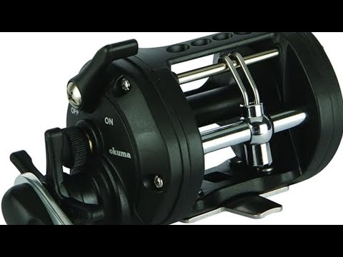 THE BEST CATFISHING reel on the MARKET!! (BELOW 60$) - YouTube