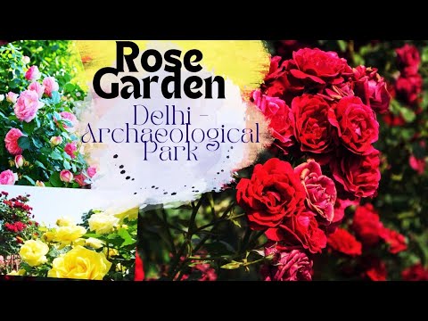 Rose Garden Delhi Mehrauli // Rose Garden In Delhi Mehrauli ...