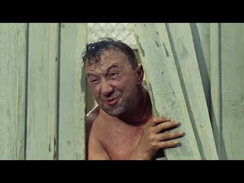 Стой студент!
