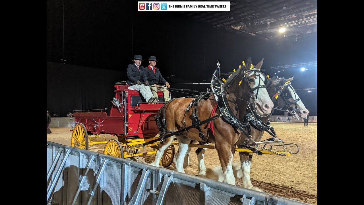 Our Scottish Clydesdale Horses | Horse Show Part Two - BF Various ...