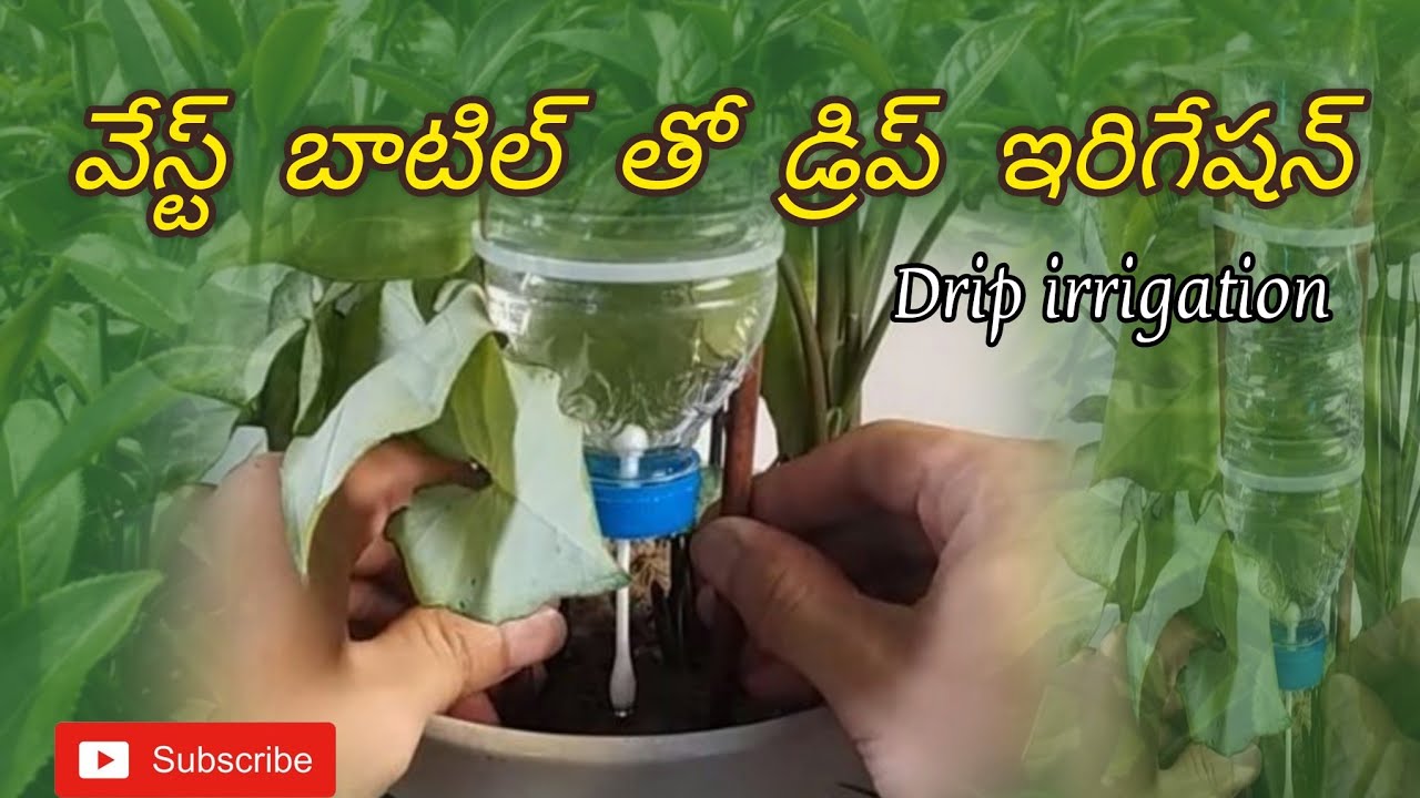 how to make a mini drip irrigation at home | bottles | save water ...
