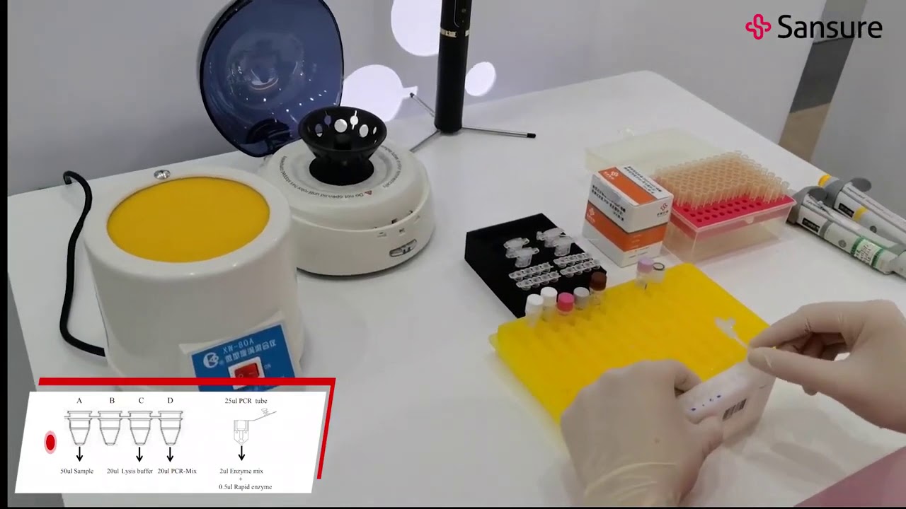 Sansure Biotech iPonatic Portable Molecular Workstation Operation ...