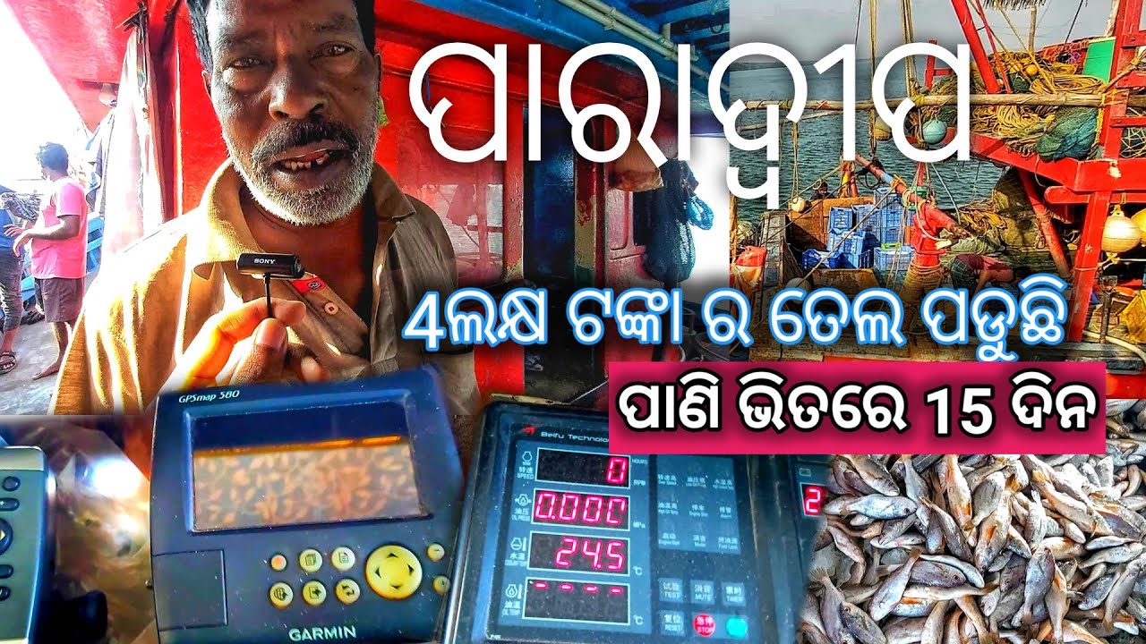 PARADEEP Fishing Harbour, paradeep fish market | Boat chambers, fishing ...