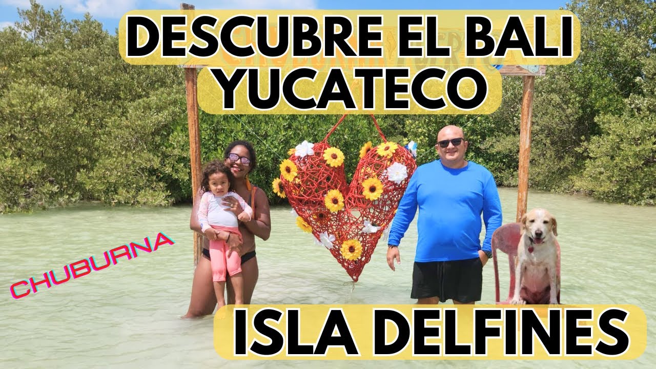 ISLA DELFINES, una maravilla de CHUBURNA PUERTO en Yucatán - YouTube