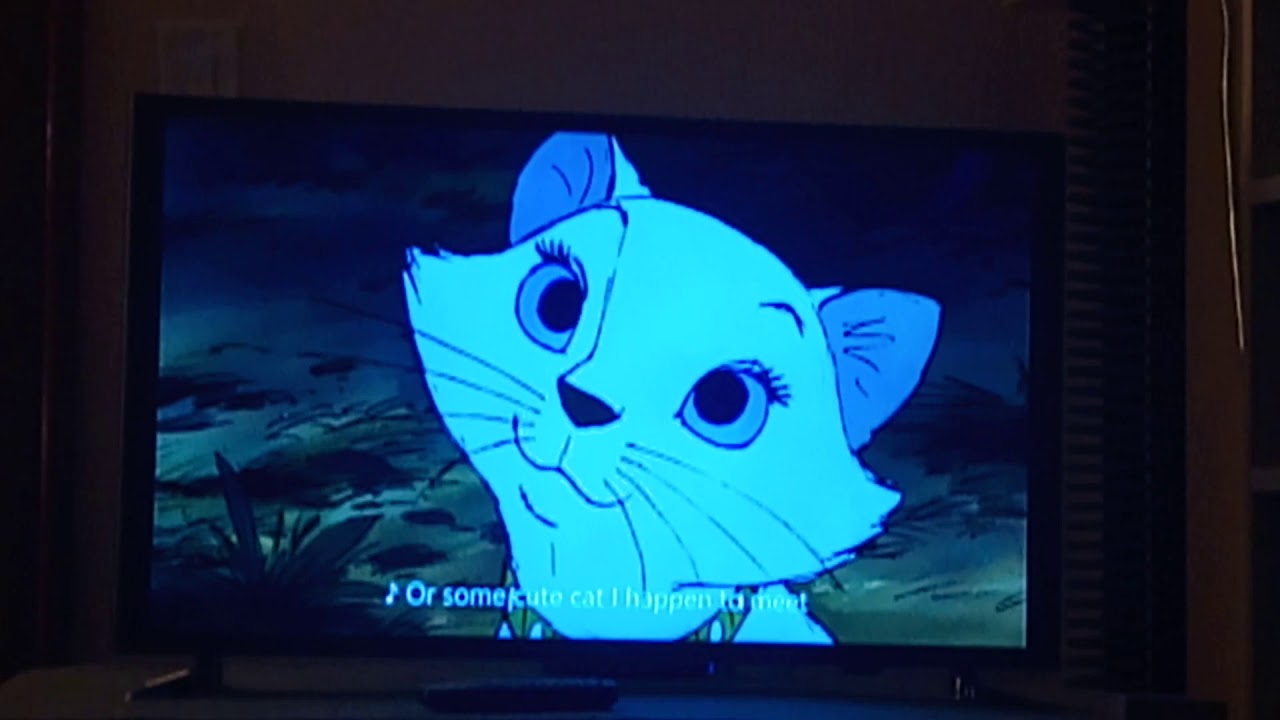 Thomas O'Malley song - YouTube