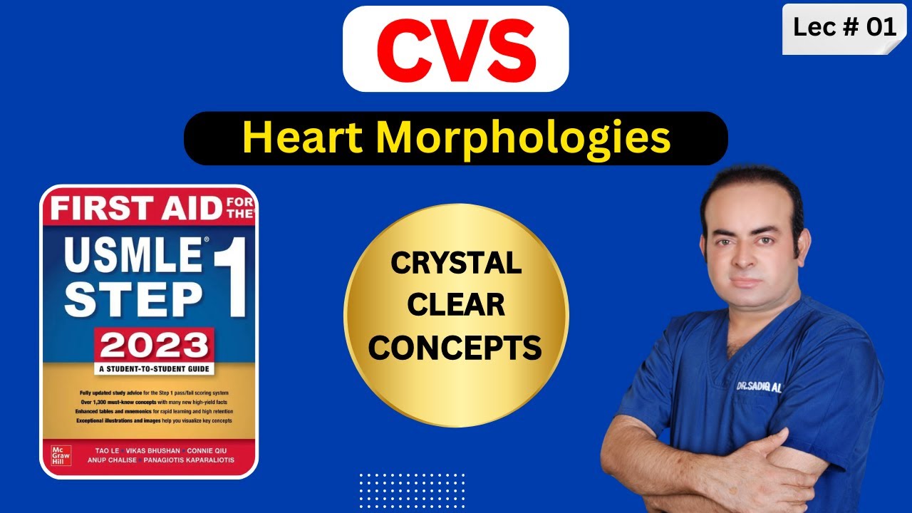 CVS Heart Morphologies | First Aid USMLE Step 1 - YouTube
