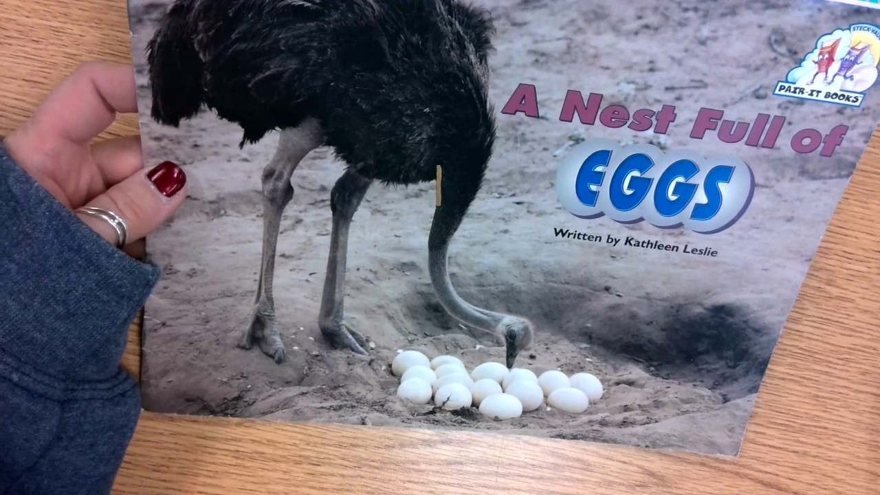 A Nest Full of Eggs Guided reading lesson - YouTube