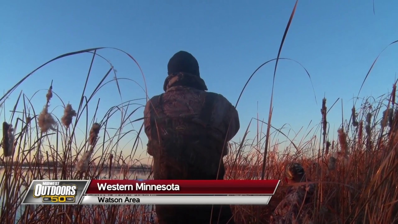 MidWest Outdoors TV Show #1648 - Minnesota Duck Hunt with the ...