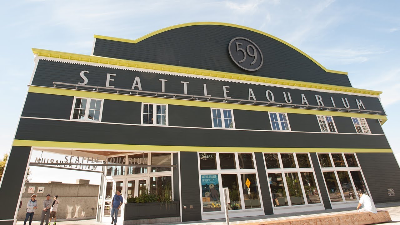 Pro On The Go: The Seattle Aquarium - Sherwin-Williams - YouTube