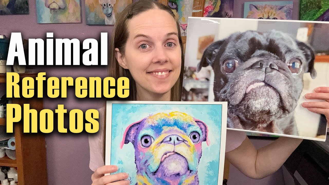 How to Find Reference Photos of Animals - YouTube