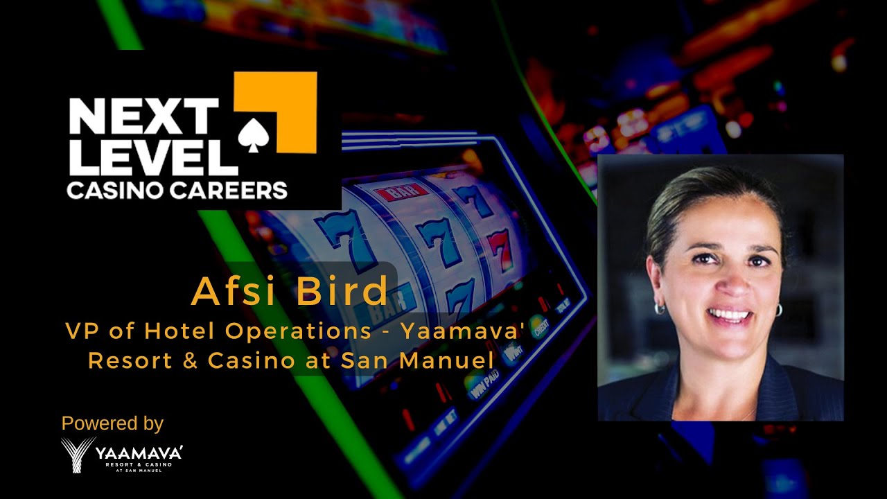 Next Level Casino Careers Interview Afsi Bird - YouTube