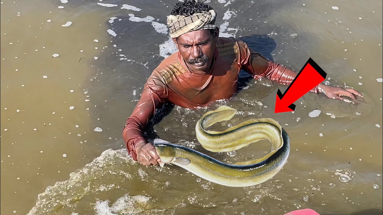 കുത്തുവലയിൽ കേറിയ ഭീകരനെ കണ്ടു ഞെട്ടി ..! Traditional Fishing | Kerala ...