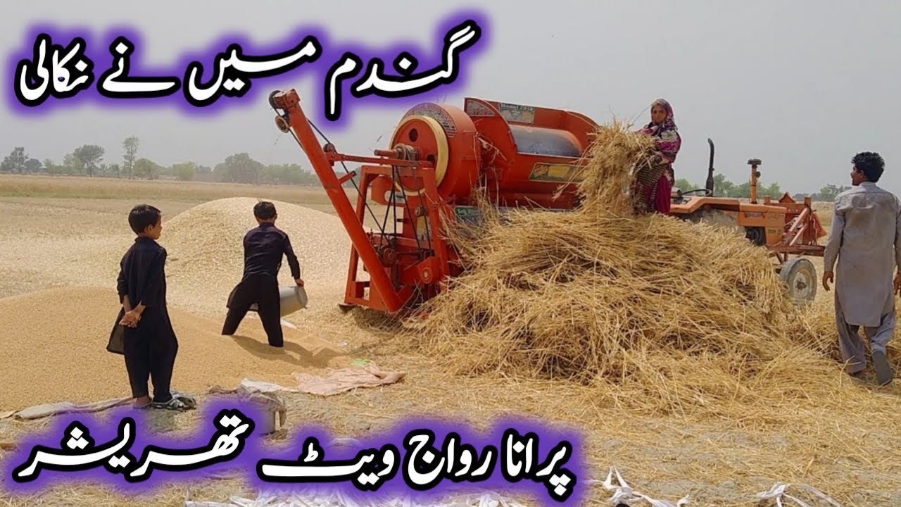 Apni gandum main ne nikali thresher say اپنی گندم میں نکالوں گی - YouTube