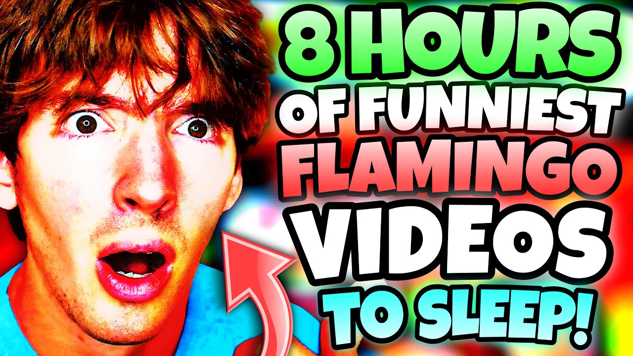 *8 HOURS* OF FLAMINGO VIDEOS TO FALL ASLEEP! (MARATHON/ROBLOX) - YouTube