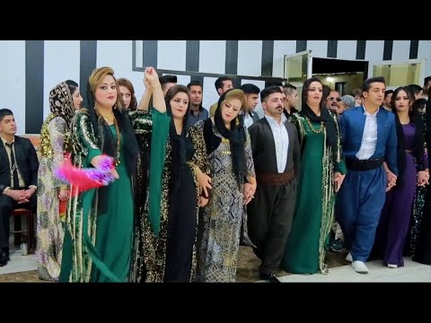 best Kurdish wedding 2023 | best kurdish dance 2023