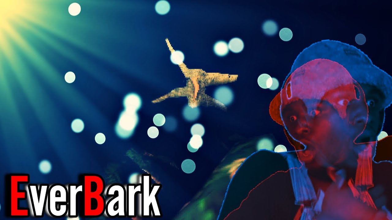 WHY DOES IT CRAWL! |EverBark - YouTube