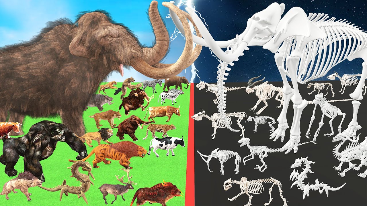 Prehistoric Mammals vs Skeleton Itself Mammals Size Comparison Mammoth ...
