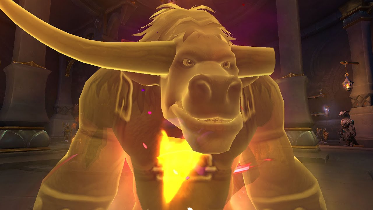 Dragonflight Season 3 PvP Priest, Demon Hunter, Warlock - YouTube