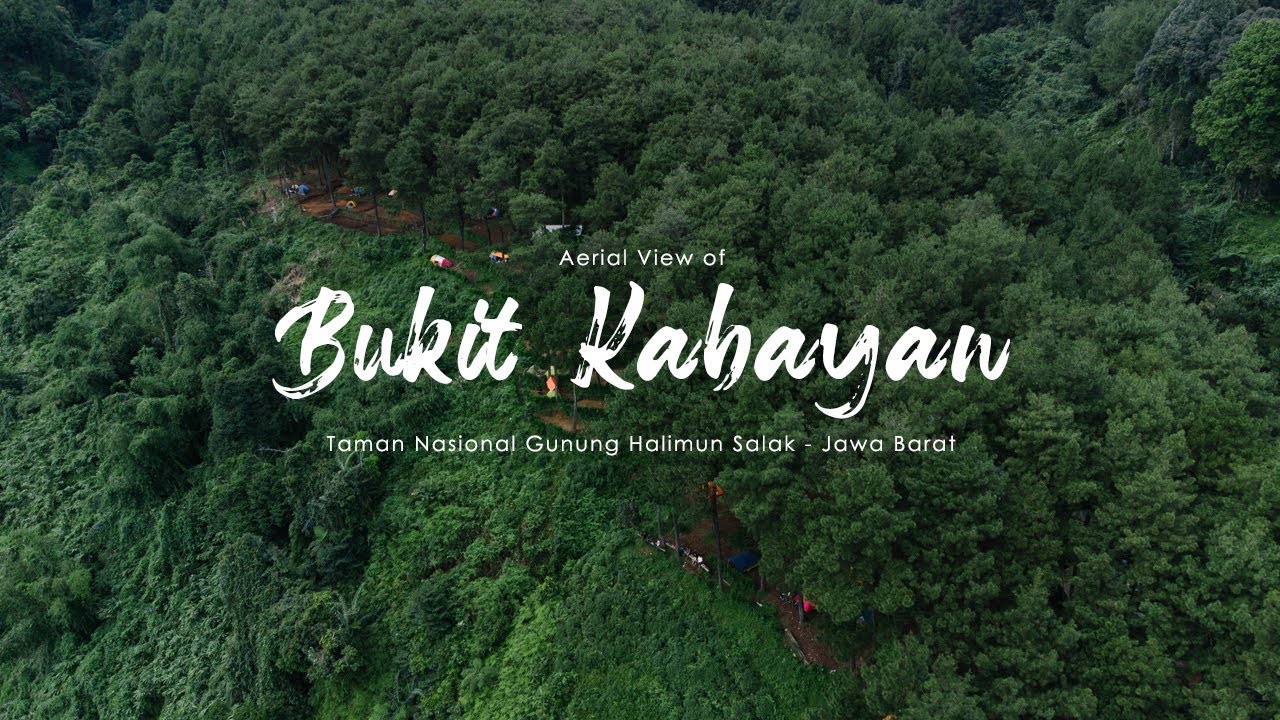Bukit Kabayan Camping Ground - Taman Nasional Gunung Halimun Salak ...