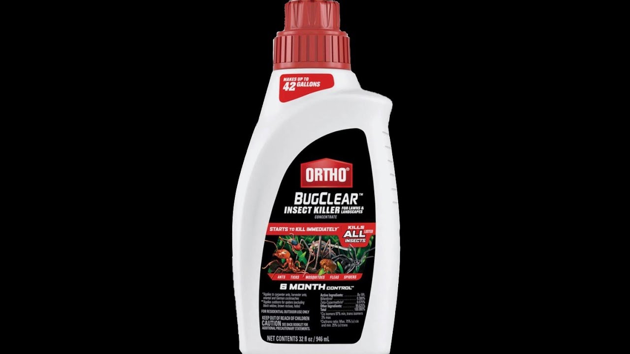 Ortho Bug and Insect Exterminator - Does it work? - YouTube