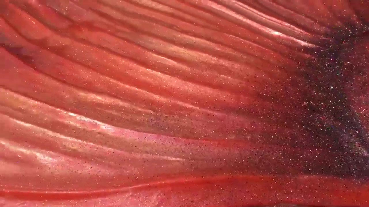 My merman tail of the mermaid Syrena from the movie Pirates of The ...
