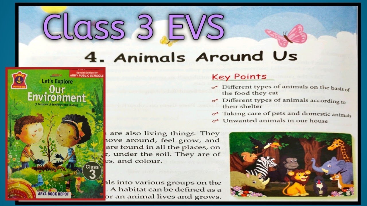 Animals Around Us - Class 3 (CH-4) | Let's Explore our Environmen - YouTube