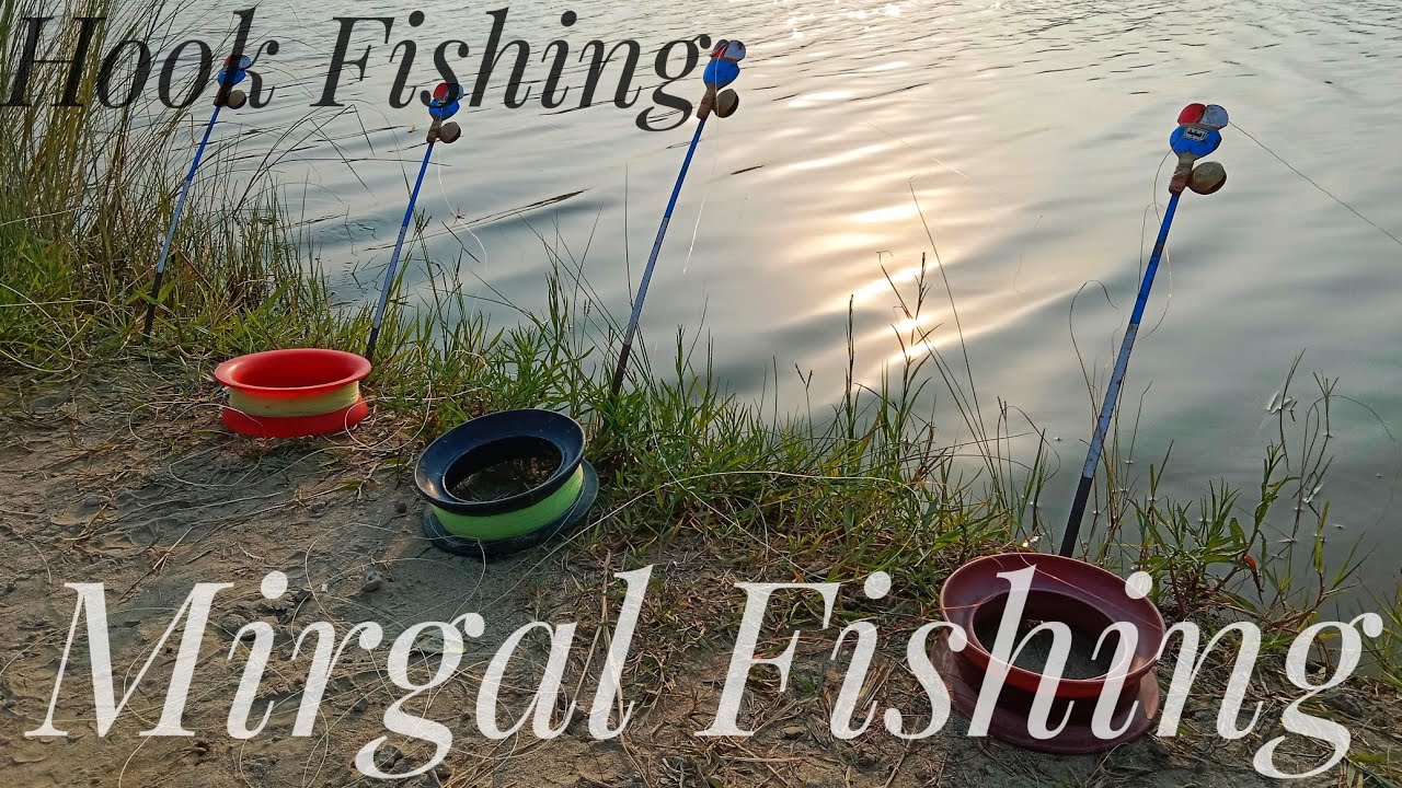 Carp Fishing | Mirgal Fishing | Rahu Fishing. - YouTube