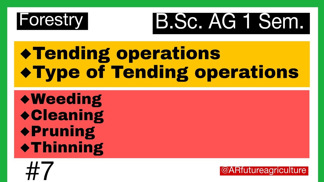 Tending operations | Type of Tending operations | Weeding | Cleaning ...