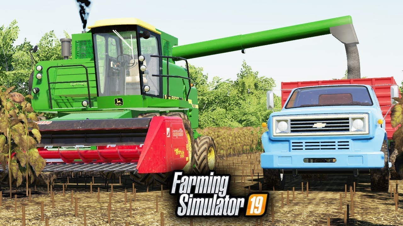 FS19 | HARVESTING SUNFLOWERS | [FULLHD GAMEPLAY] - YouTube