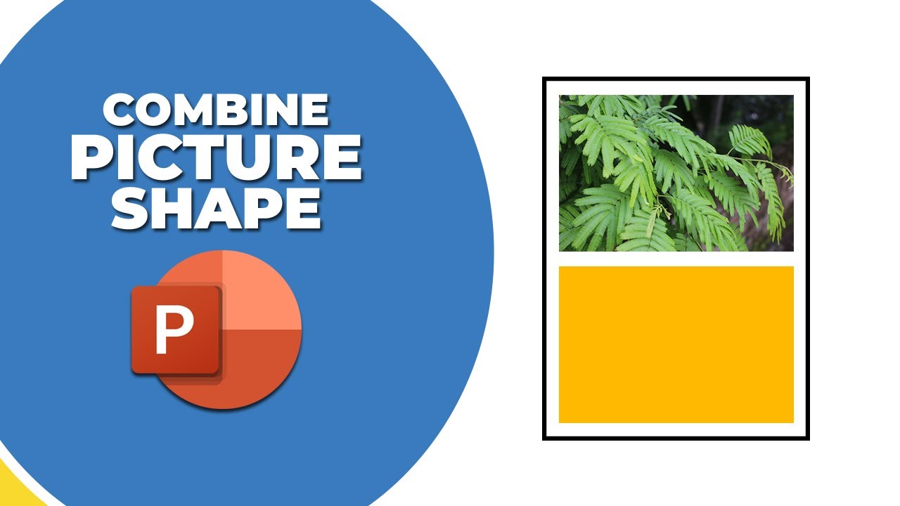 How to combine picture and shape in PowerPoint - YouTube