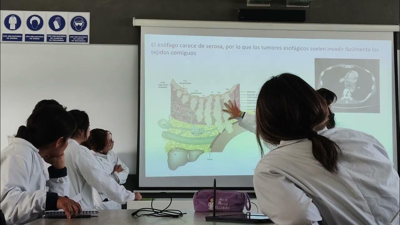 morfo 2 - fisiología - semana 9 - parte 1 - YouTube