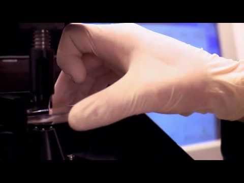 Essilor Labs - Opti-Craft - YouTube