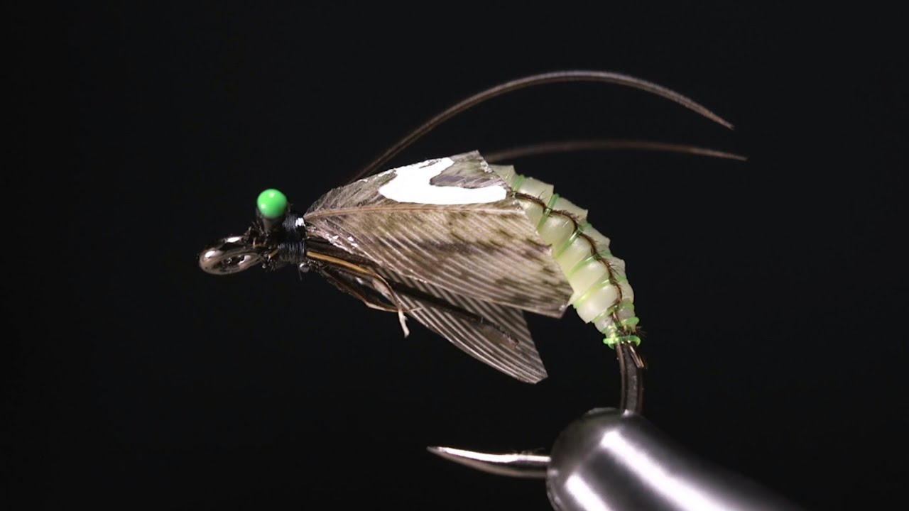 Fly Tying a Realistic Caddis Pupa - YouTube