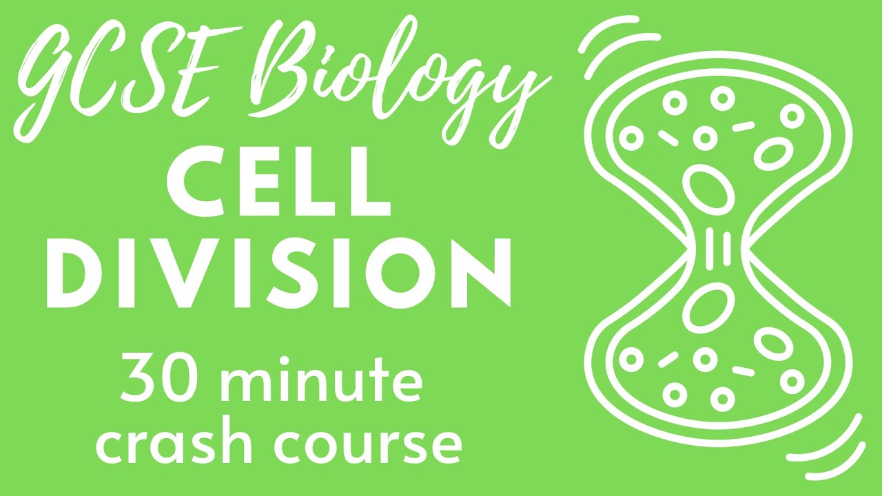 GCSE BIOLOGY CRASH COURSE - Cell Division - YouTube