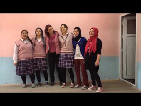 altınyayla şehit kadir eraslan çok programlı anadolu lisesi öğretmenler günü özel video