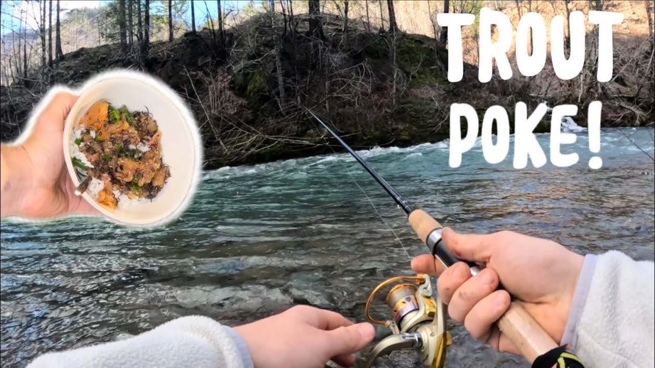 Catching a Wild Trout and Making Hawaiian Poke! | Fishing in the ...