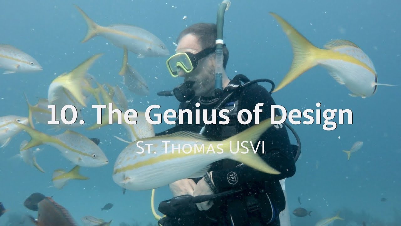 Exploring IGH: 10. The Genius of Design - YouTube