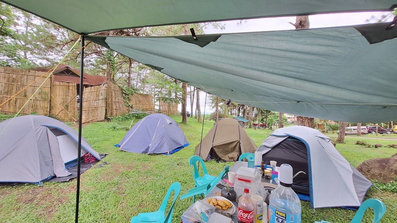 The Pine Trees of Almadria Highlands - YouTube