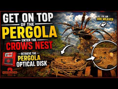 Unlock Ziplines Find the Pergola Optical Disc in Grounded 2
