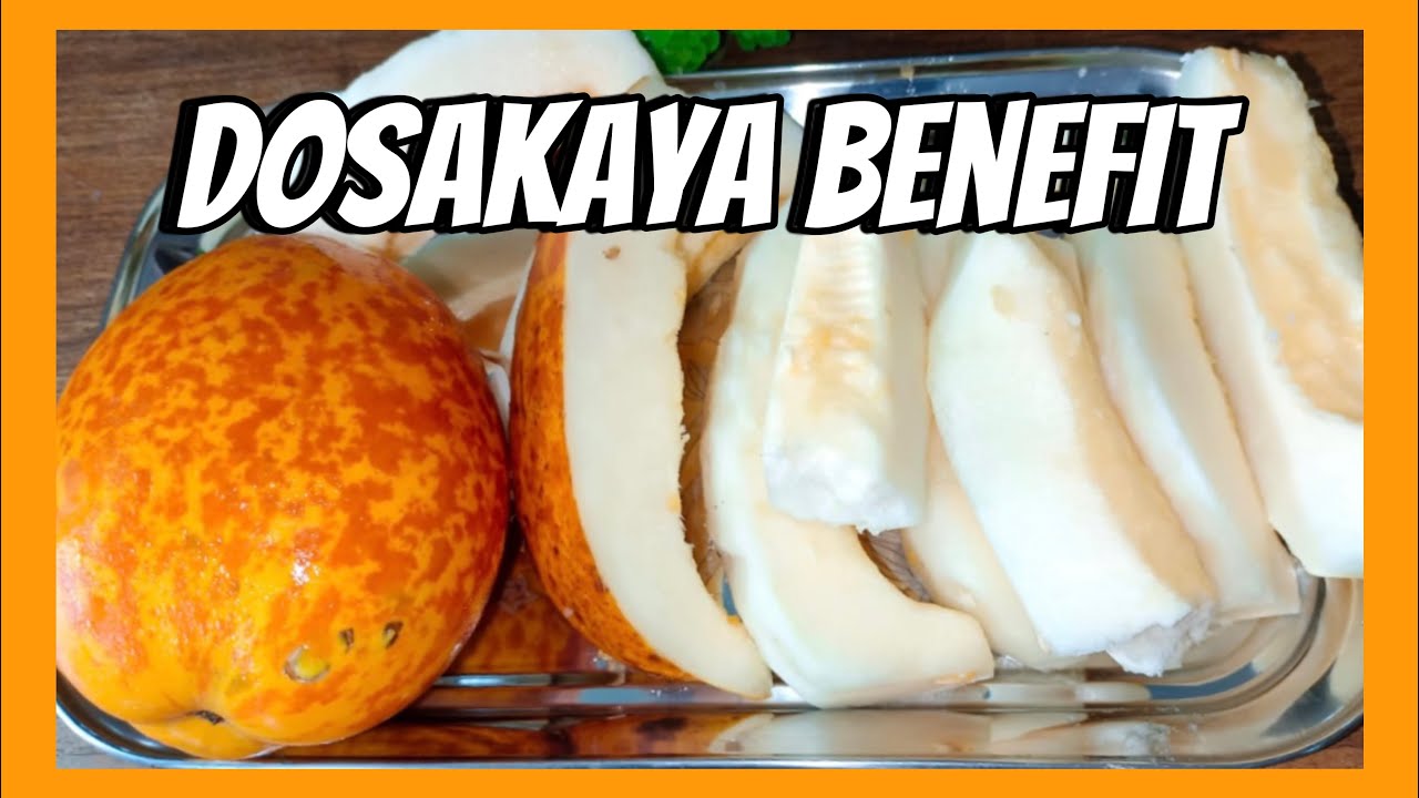 Dosakaya - Yellow Cucumber -A delightful vegetable Part-1 - YouTube