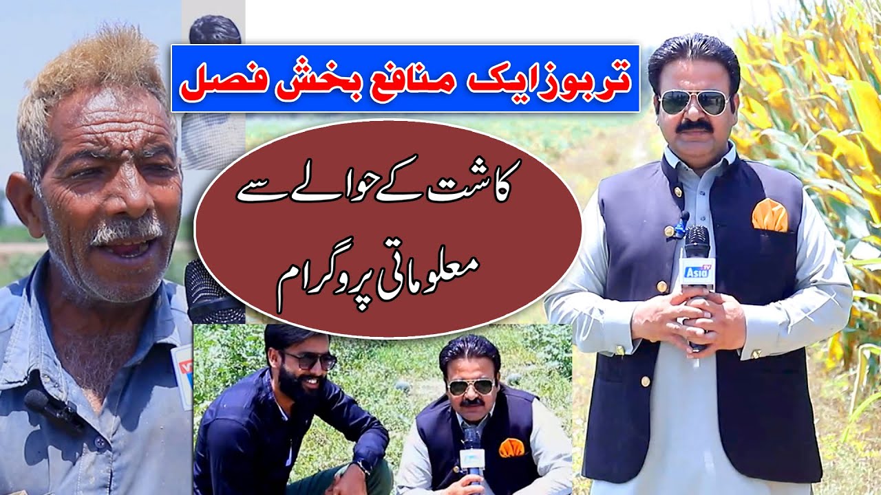 Watermelon Cultivation/Tarbooz Kashat/Tarbooz Interview/Tarbooz Farmer ...