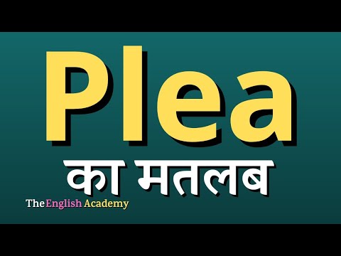 Plea Meaning In Hindi | Plea Ka Matalab - YouTube