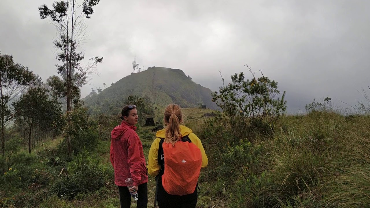 Mountain walk in munnar - YouTube