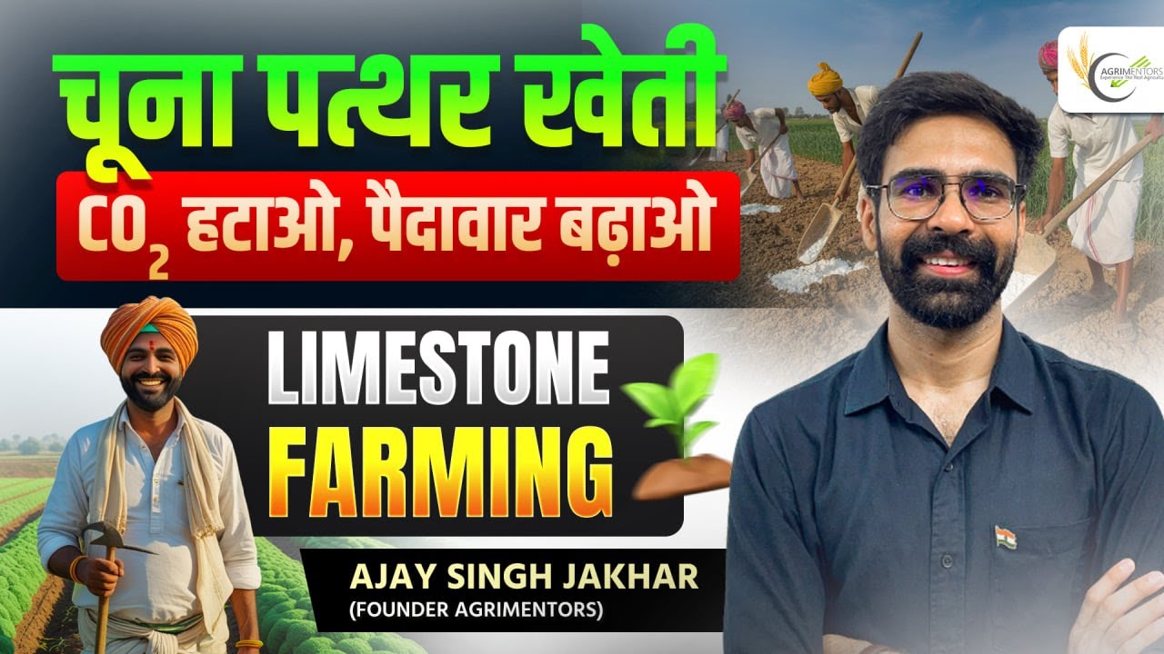 How Limestone Farming Can Remove Billions of Tonnes of CO₂ & Boost Crop ...