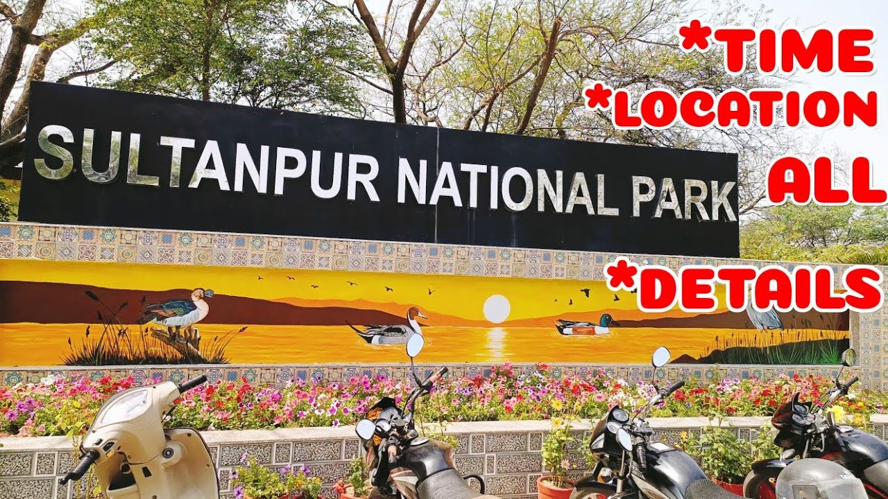 Sultanpur National Park Gurgaon Haryana||Sultanpur Bird Sanctuary ...